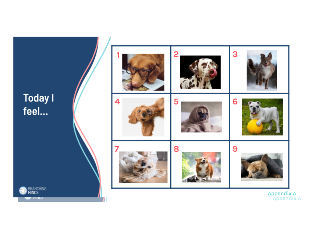 The Executive Function Toolkit